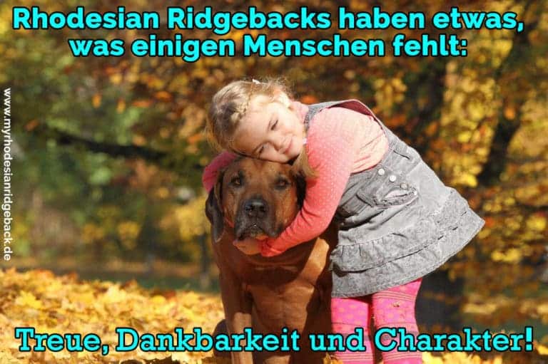 Rhodesian Ridgeback Zitate und Sprüche - RhodesianRidgeback.de